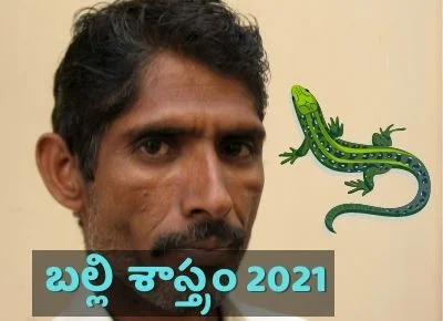 మగవారి పై బల్లి పడితే ఏం చేయాలి ? Balli sastram in telugu for male 2021