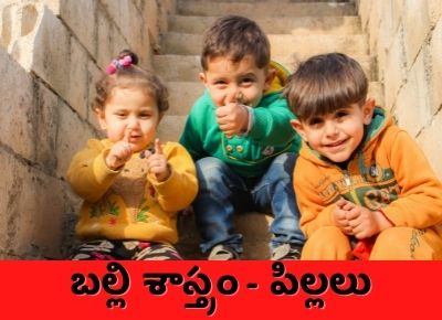బల్లి ఎవరికి ఎక్కడ పడితే ఏం జరుగుతుందో తెలుసా ? Balli sastram in telugu ...