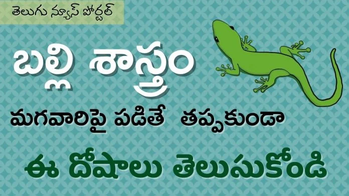 మగవారి పై బల్లి పడితే ఏం చేయాలి ? Balli sastram in telugu for male 2021