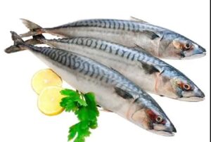 mackerel fish in telugu
